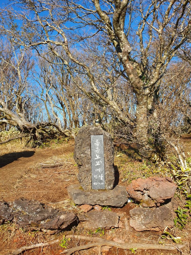 족은 노꼬메 오름