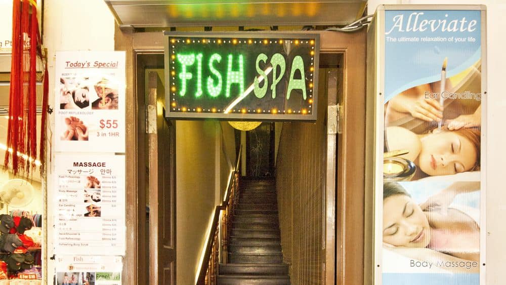 Alleviate Fish Spa