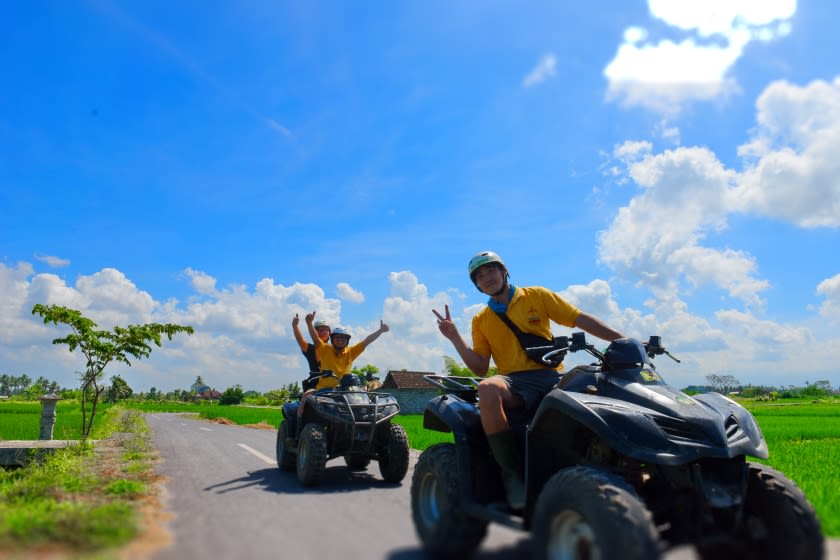 발리 10시간 자유 일정 렌트카+한국어가이드 (우붓 ATV 포함) | NOL 인터파크투어
