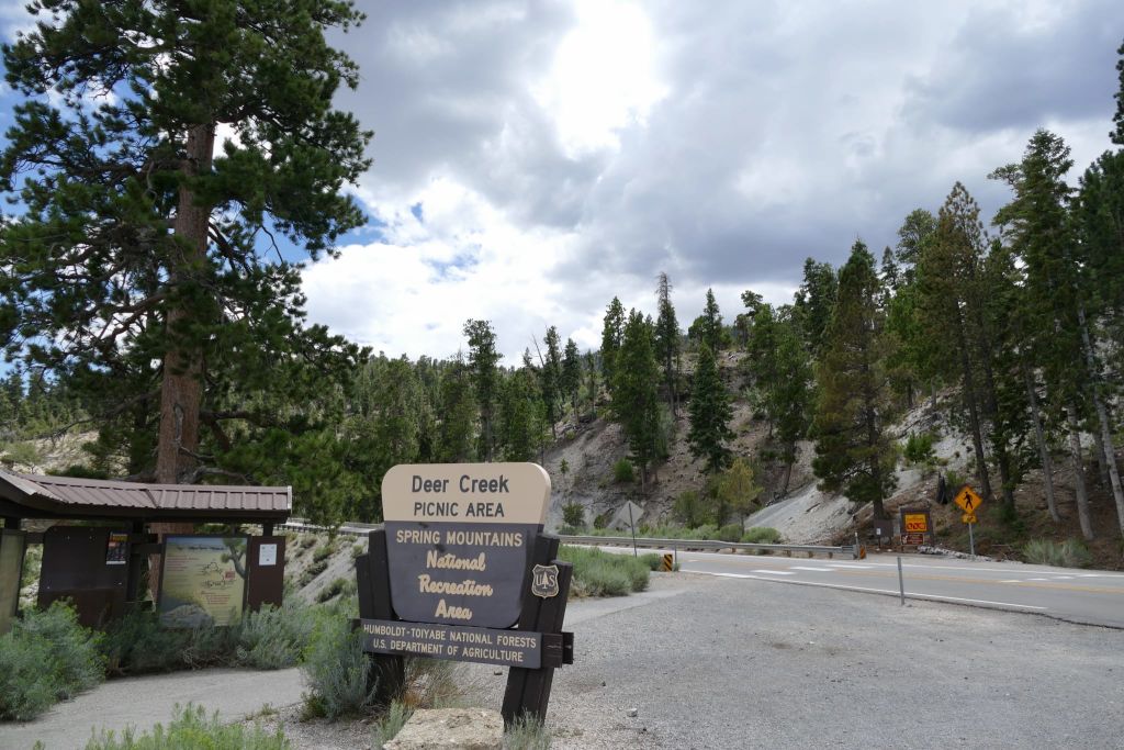 맥윌리엄스 캠프그라운드