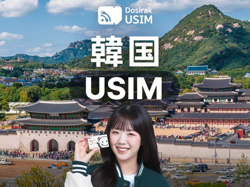[韓国空港受領] 無制限データUSIM/韓国弁当USIM(SKT・KT)