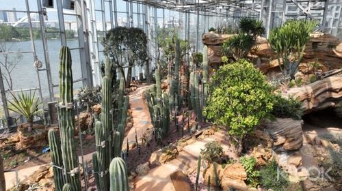 상하이 온실 정원 - 트리플 투어티켓