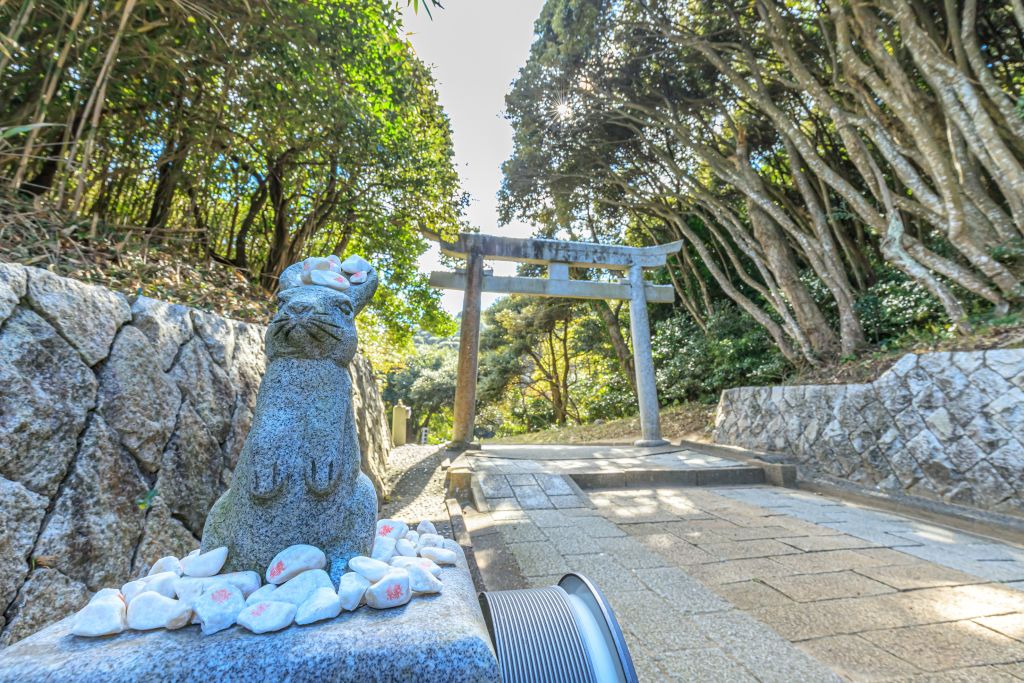 [오사카] 돗토리 사구+풀코스 게요리 포함 당일 투어 해외 필수 투어·티켓 | NOL