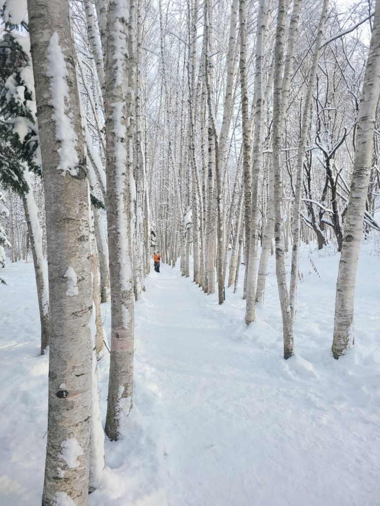 MaxFun으로 즐긴 나홀로 홋카이도 겨울 드라이브 - 트리플, 나를 아는 여행 앱