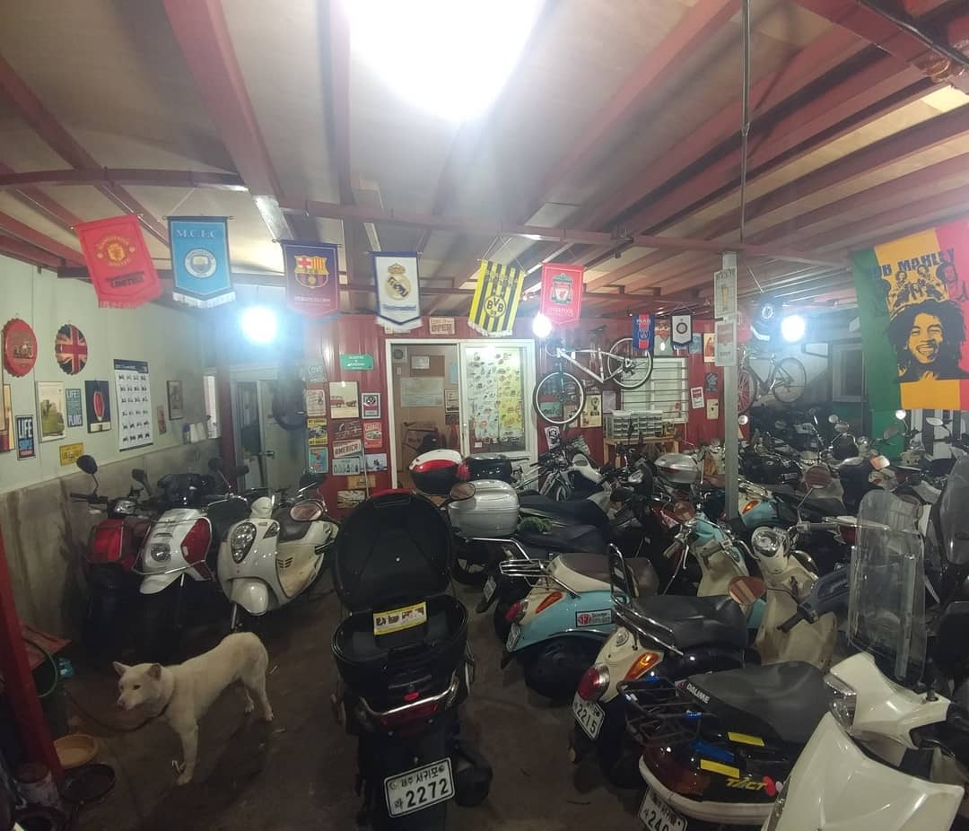 西归浦 Scooter & Free Zone 电动小摩托与自行车租赁 | NOL World