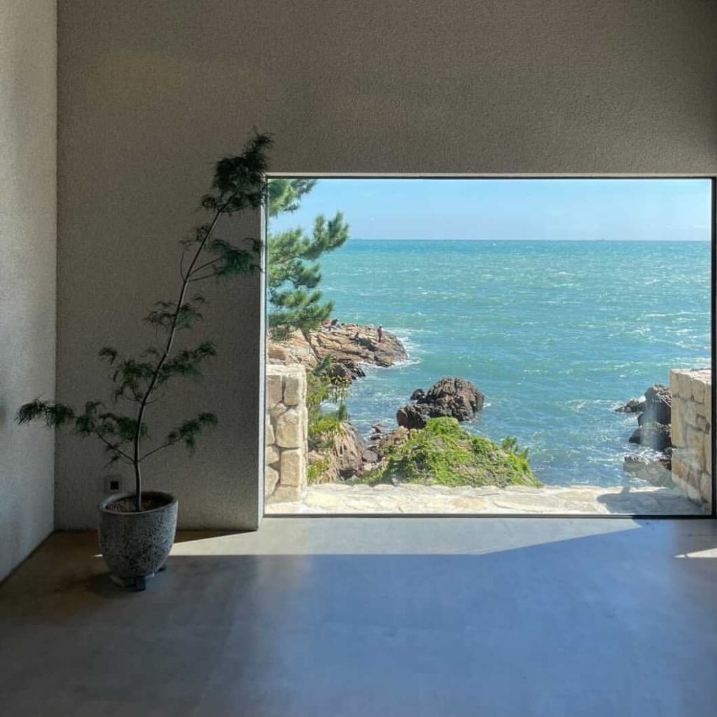 Complete Guide to Ocean-view Coffee Shops | NOL World (interpark global)