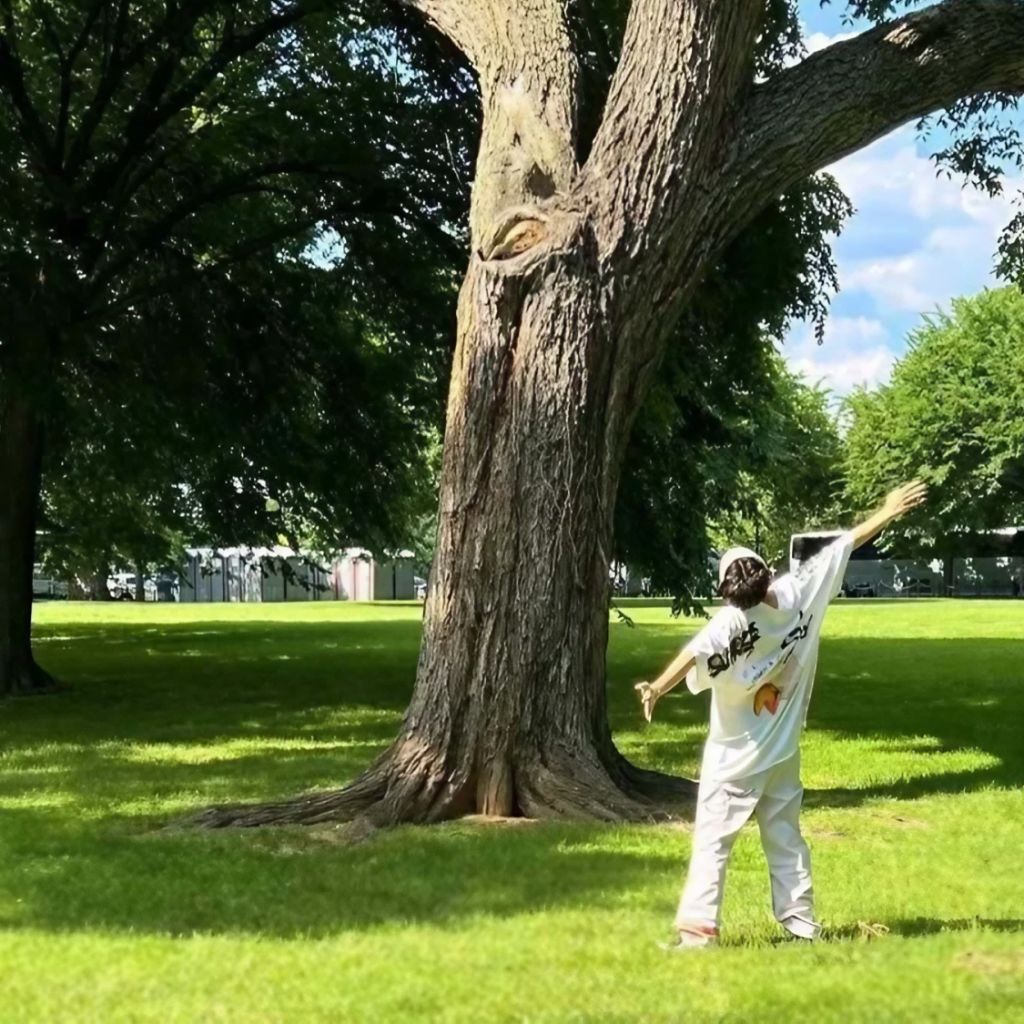2025 Seoul Forest BTS Bench Tour