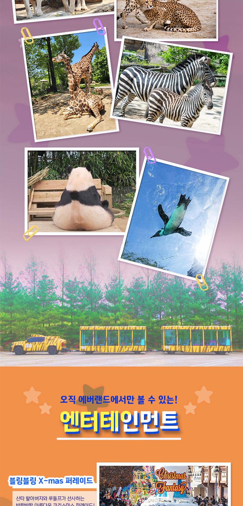 경기 용인 에버랜드 화,수,목 종일권 (방문 날짜 지정) (~1/31) - 트리플 투어티켓