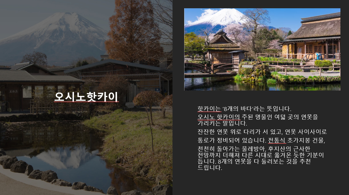 [도쿄] Japan Express Bus Ticket 도쿄 - 가와구치코 / 후지산 편도 고속버스 티켓 - 트리플 투어티켓